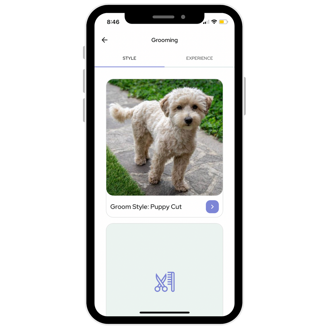 Global Pet Security – GlobalPetSecurity